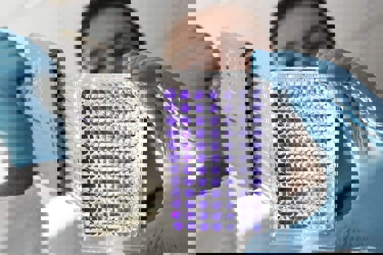 Masterlab - Trouw Nutrition España